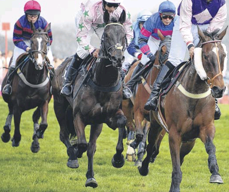 POINTING PEOPLE: WILL BOWLER, Weatherbys Point-to-Point, Weatherbys ...