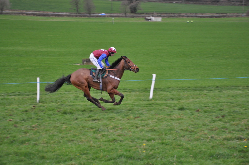 Meeting key with Famous Clermont owners keen on Cheltenham, Weatherbys ...
