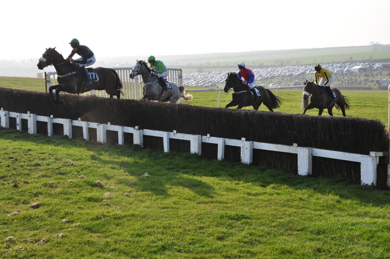 Schooling race at Garthorpe breaks new ground, Weatherbys Point-to ...