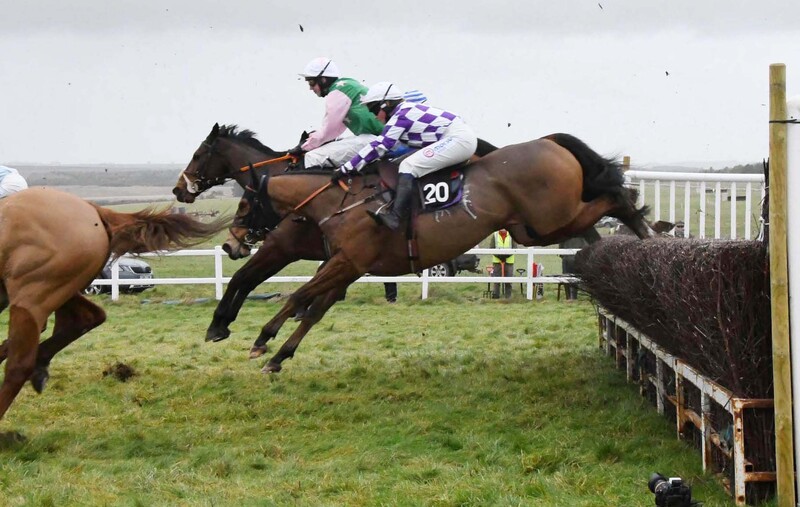 Irish hunters top among six- and seven-year-olds, Weatherbys Point-to ...