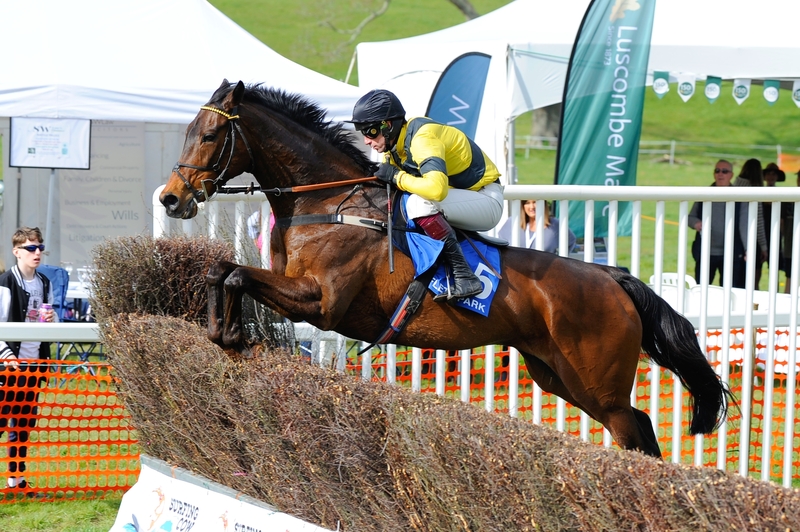 Sad passing of Minimalistic, Weatherbys Point-to-Point, Weatherbys ...