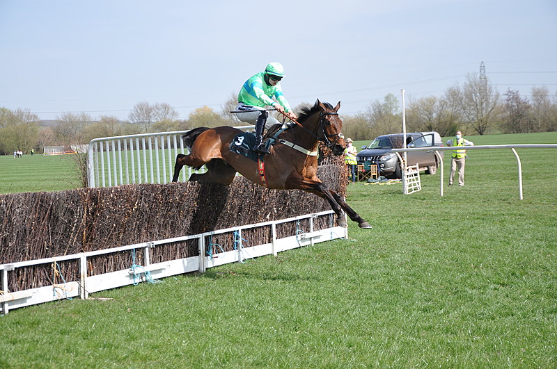 British pointers go under the hammer, Weatherbys Point-to-Point ...