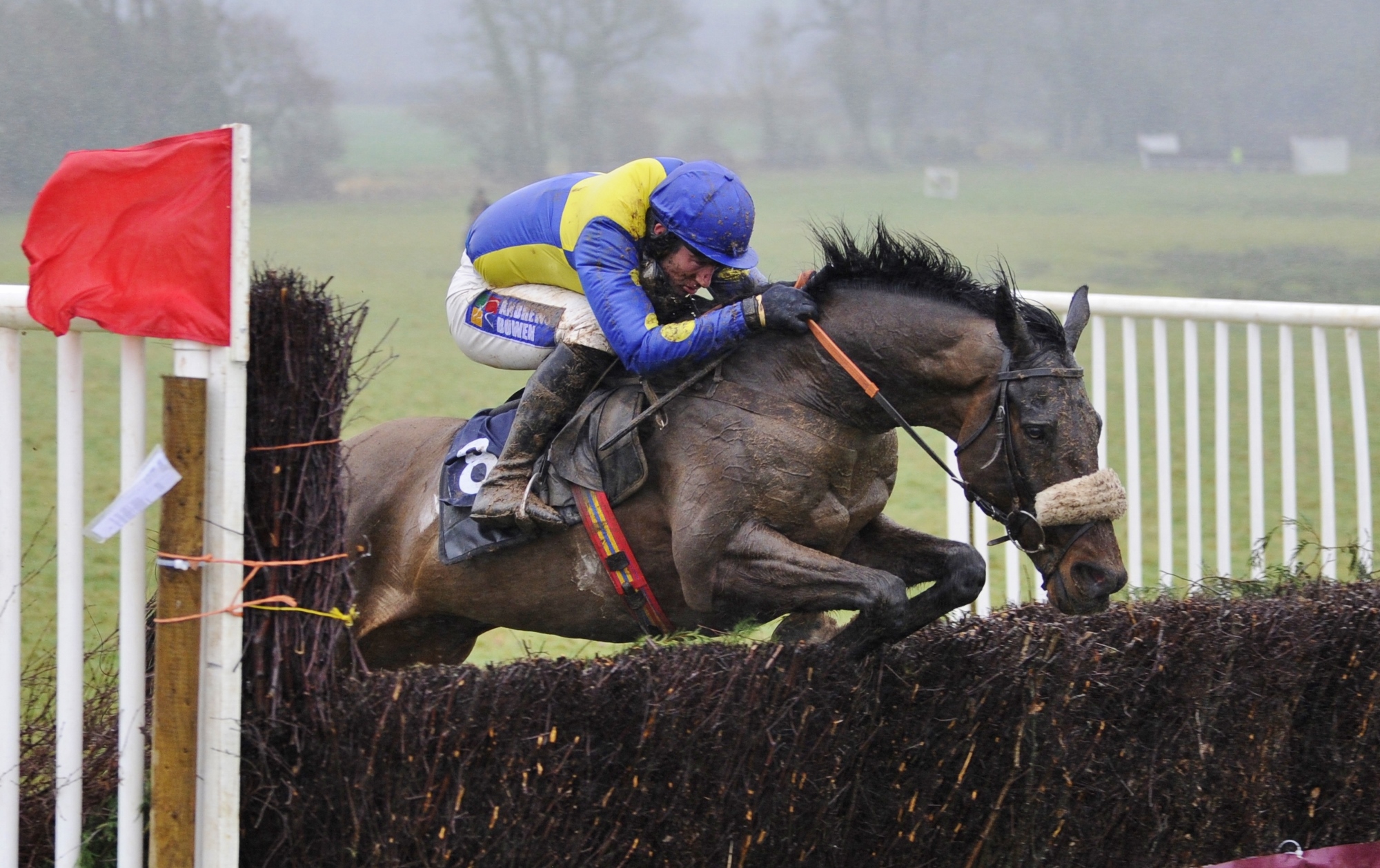 Champagne occasion for outstanding feat by Biddick, Weatherbys Point-to ...