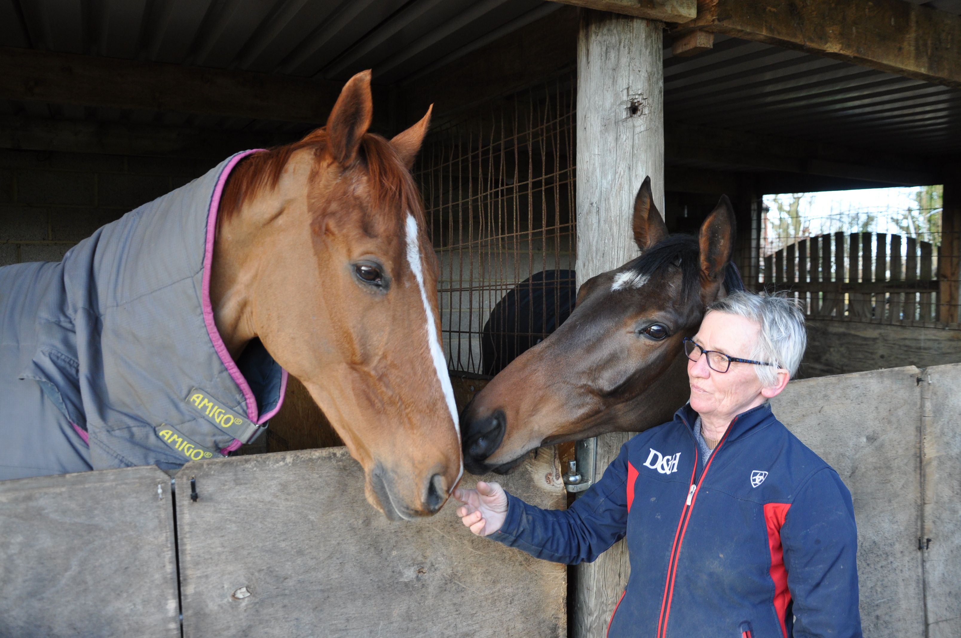 Point-to-Point Focus, Weatherbys Point-to-Point, Weatherbys Point-to-Point